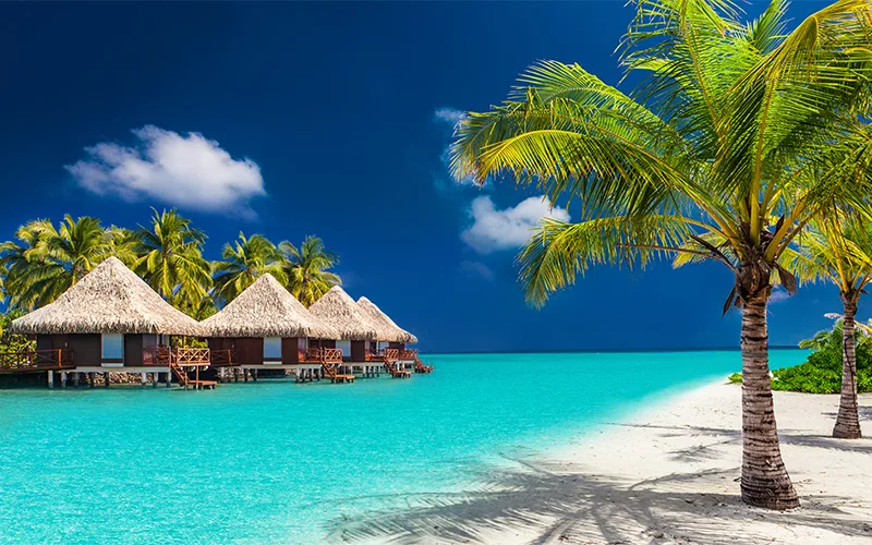 Tanning and Holiday Destination So Damn Tanned | Holday Tanning